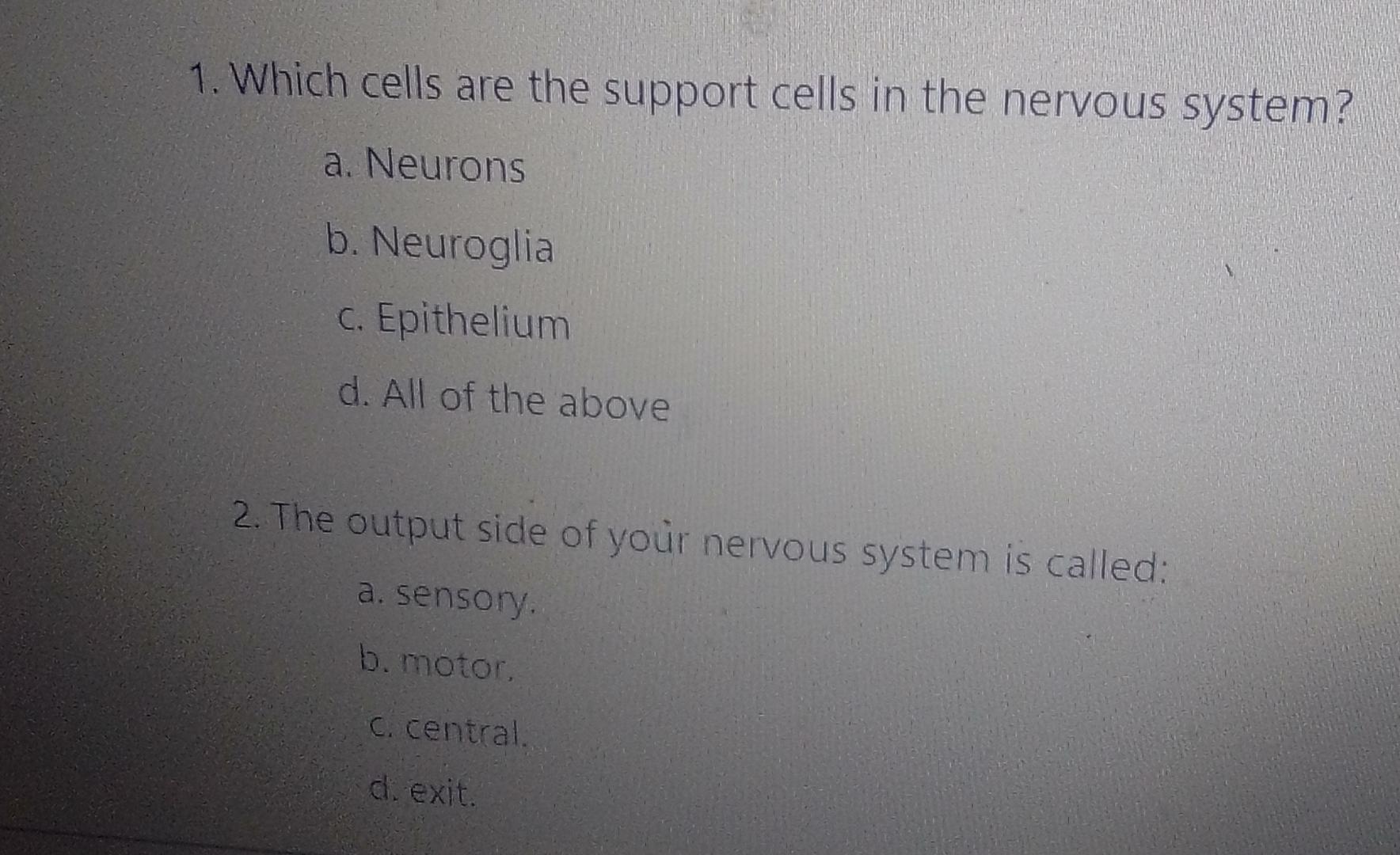 Solved Which cells are the support cells in the nervous | Chegg.com