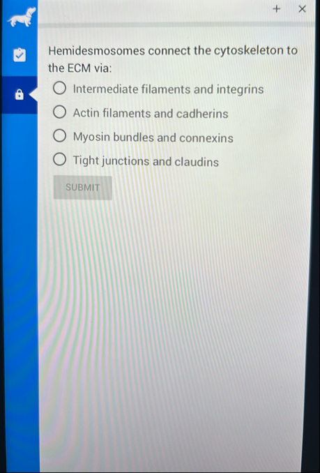 Solved Hemidesmosomes connect the cytoskeleton to the ECM | Chegg.com