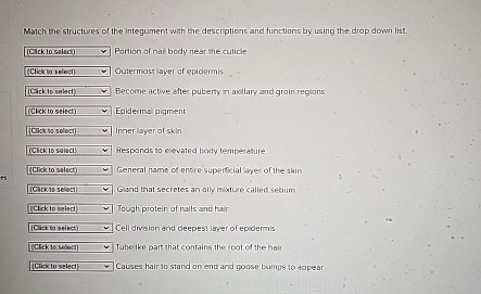 Solved Match the structures of the integument with the | Chegg.com