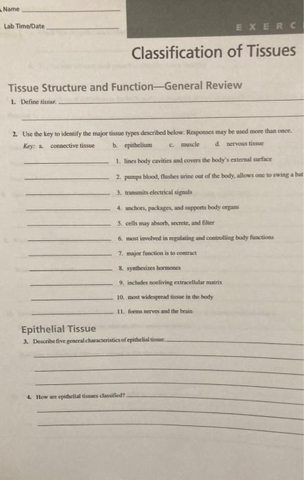 Solved Classification of Tissues Tissue Structure and | Chegg.com