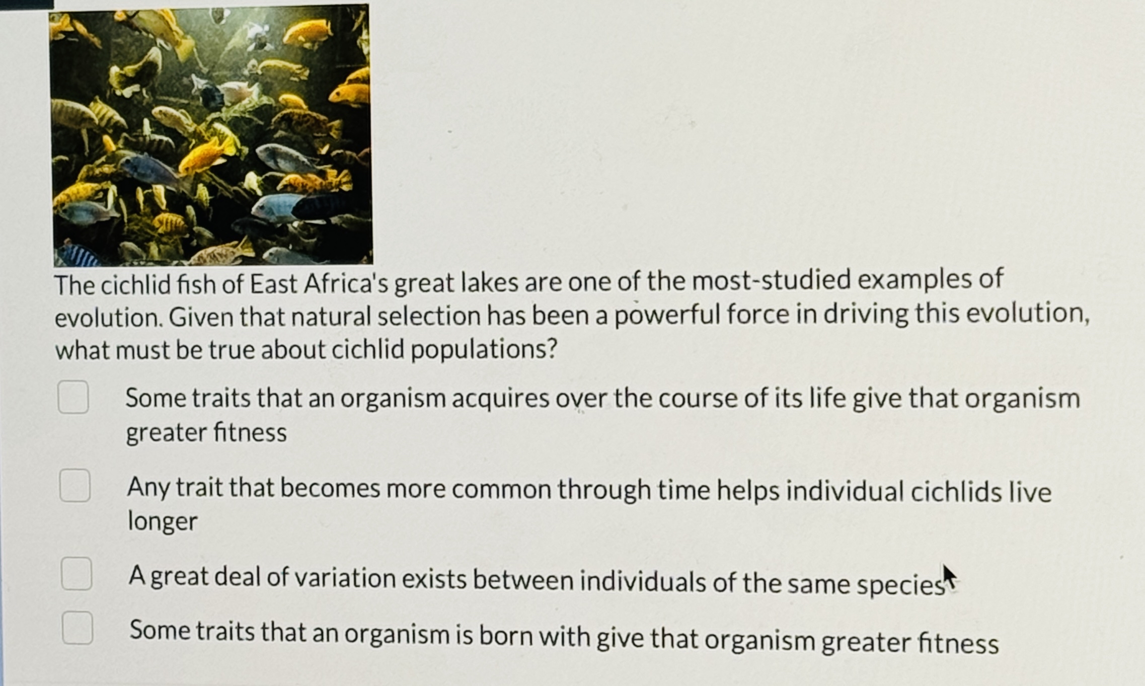 Solved The cichlid fish of East Africa's great lakes are one | Chegg.com