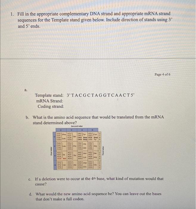 Solved 1. Fill in the appropriate complementary DNA strand | Chegg.com