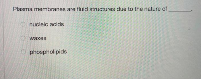 Solved Which Of The Following Statements Is True Of Enzymes