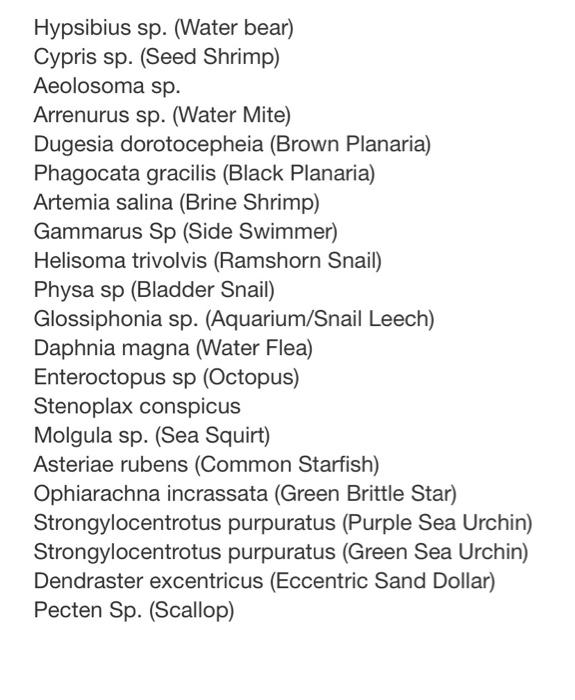Solved 1. Dichotomous Key for the following Invertebrates. | Chegg.com