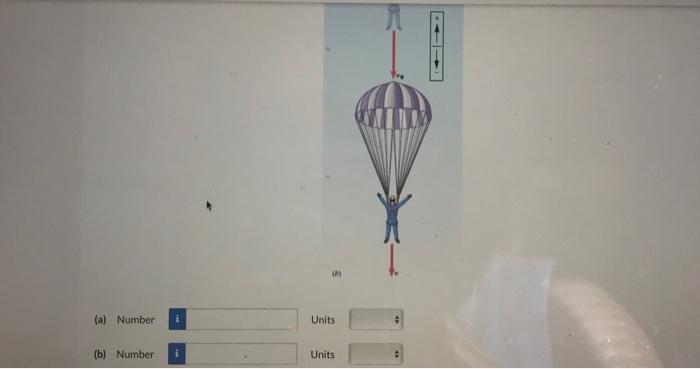 Solved A skydiver is falling straight down, along the | Chegg.com