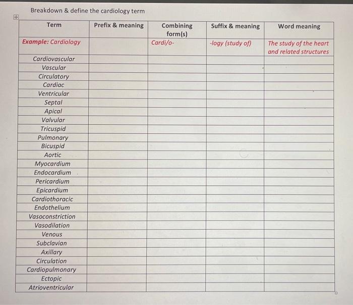 Solved Breakdown & define the cardiology term Term Prefix & | Chegg.com