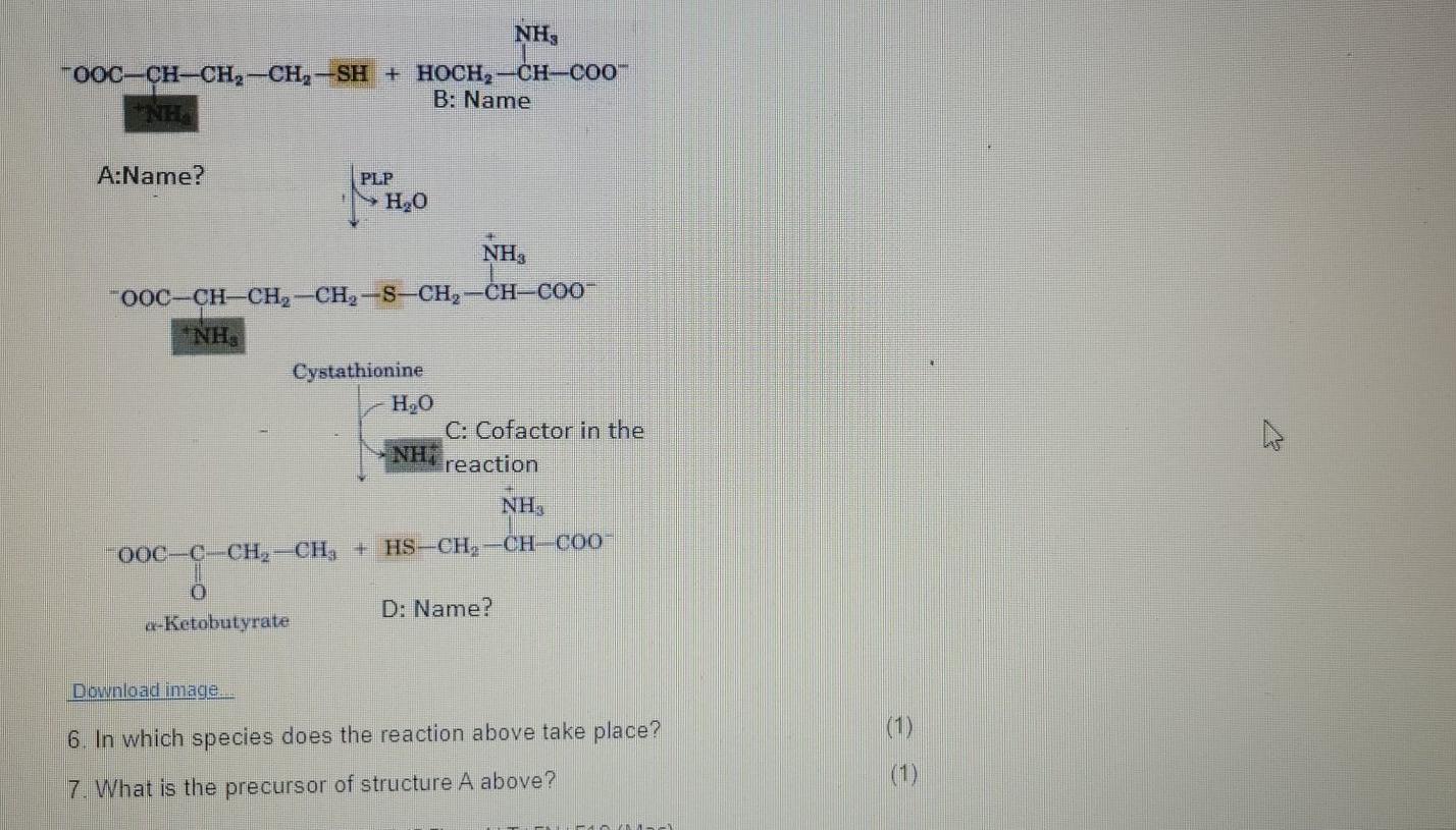 Solved Refer to the reaction below: D: Reaction? ATP PPI B: | Chegg.com