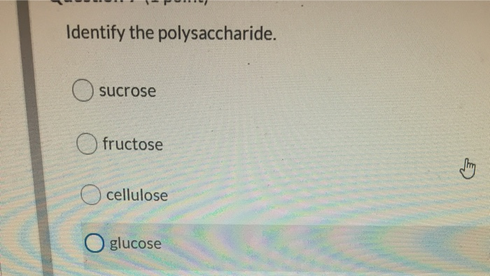 Solved Identify the polysaccharide. sucrose fructose O | Chegg.com