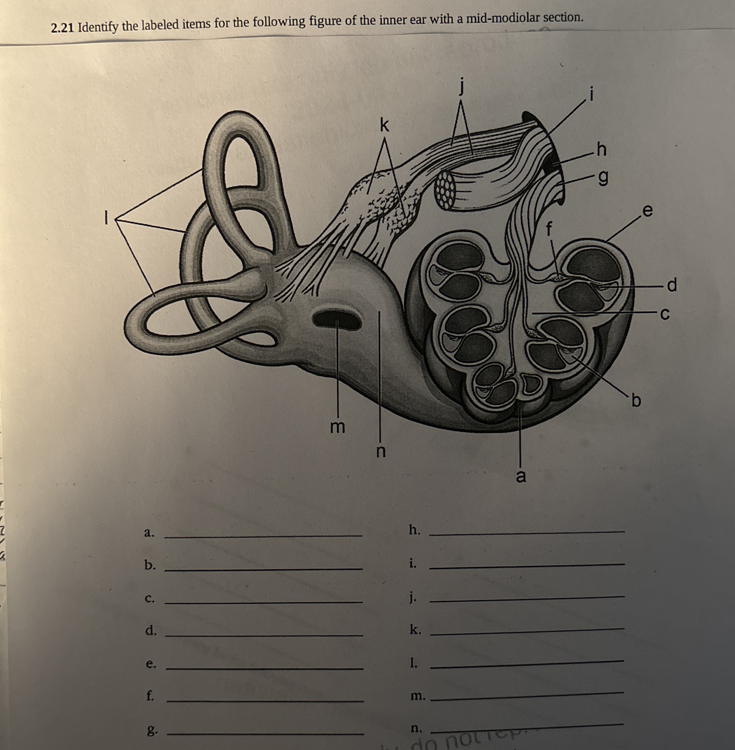 Solved 2.21 ﻿Identify the labeled items for the following | Chegg.com