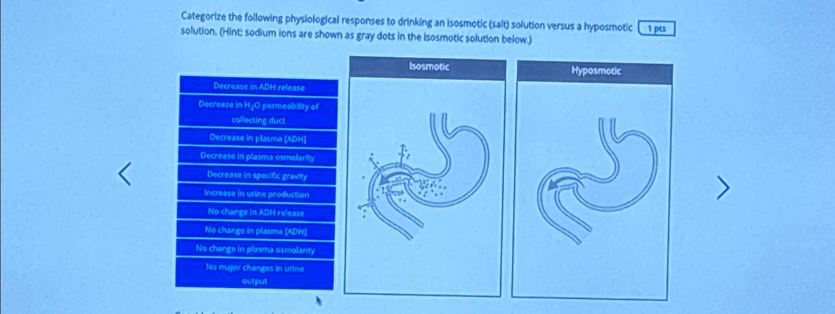 Solved Categorize the following physiological responses to | Chegg.com