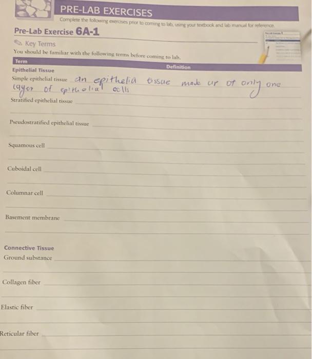 Solved PRE-LAB EXERCISES Complete the following exercises | Chegg.com