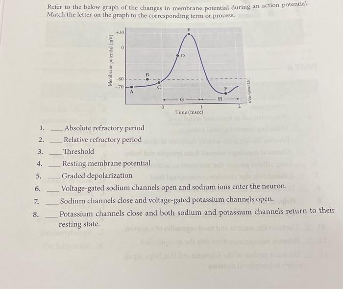 Solved Refer to the below graph of the changes in membrane | Chegg.com