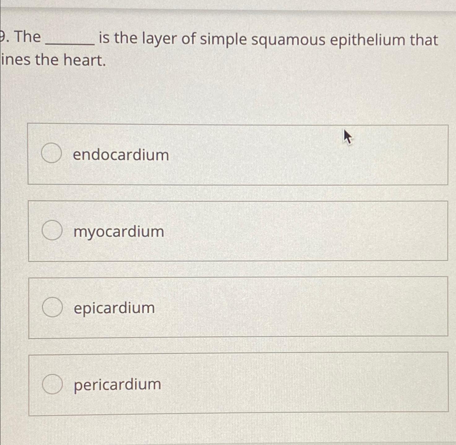 Theis the layer of simple squamous epithelium that | Chegg.com