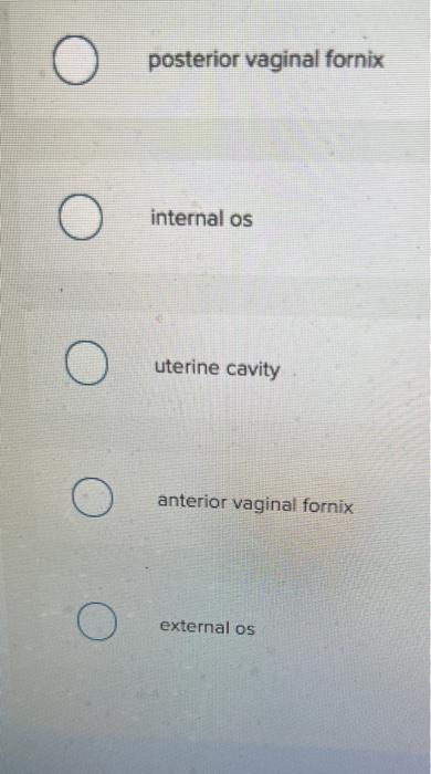 Solved 1 posterior vaginal fornix internal os uterine | Chegg.com