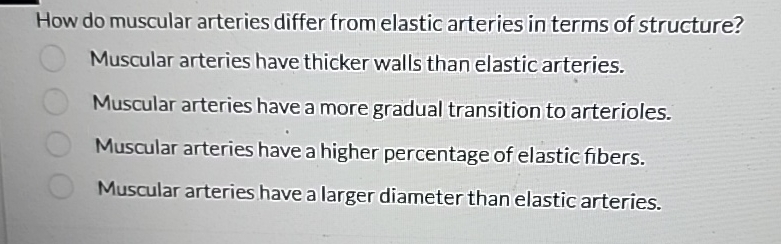 Solved How do muscular arteries differ from elastic arteries | Chegg.com