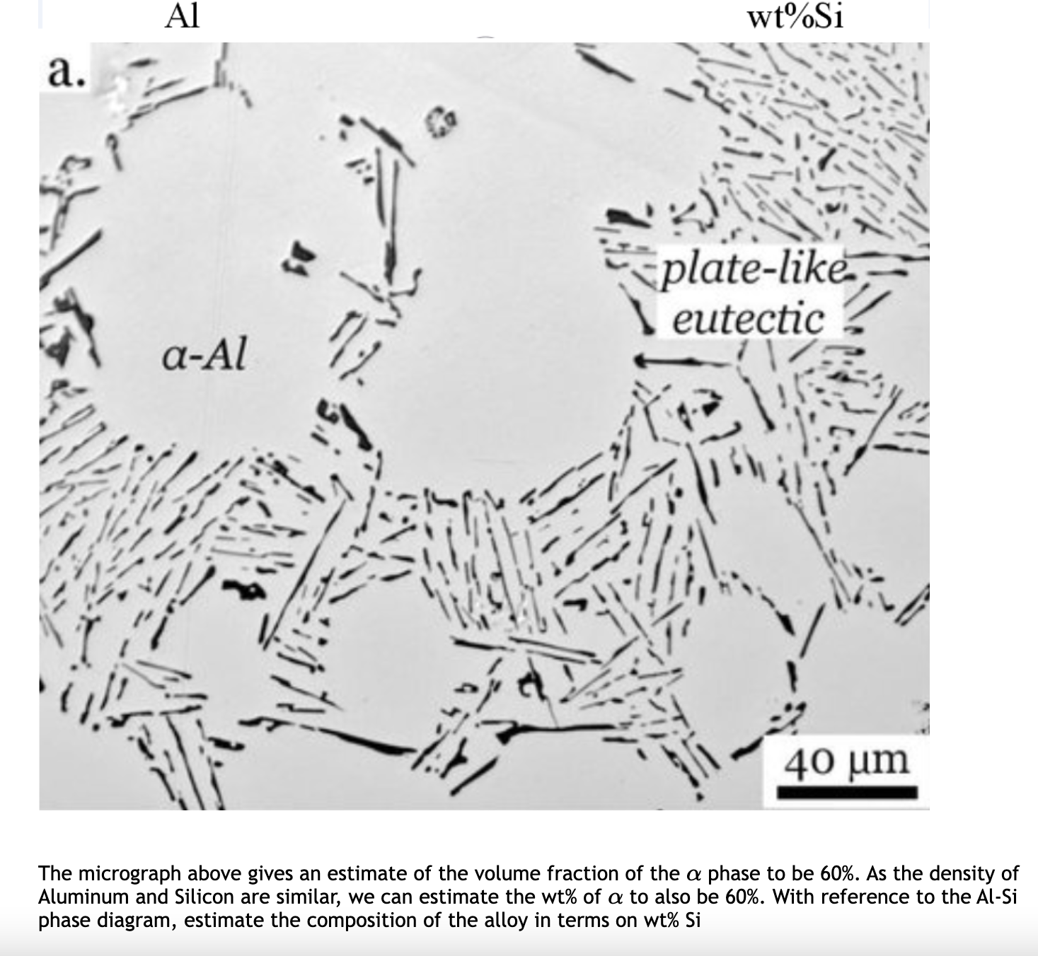 Solved The micrograph above gives an ﻿estimate of ﻿the | Chegg.com