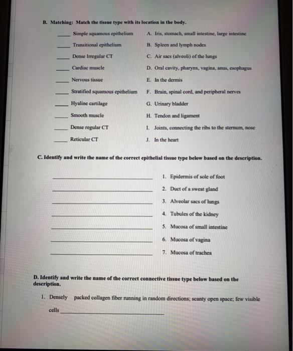 Solved B. Matching: Match the tissue type with its location | Chegg.com