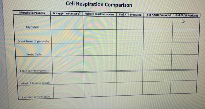 Solved Cell Respiration Comparison Metabolic Process Is | Chegg.com