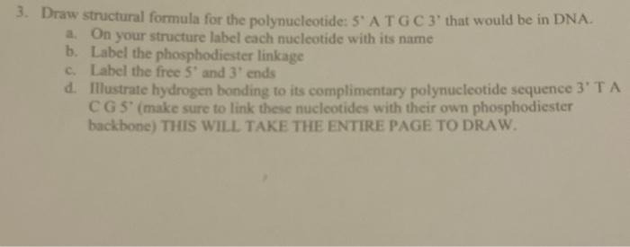 3. Draw structural formula for the polynucleotide: | Chegg.com