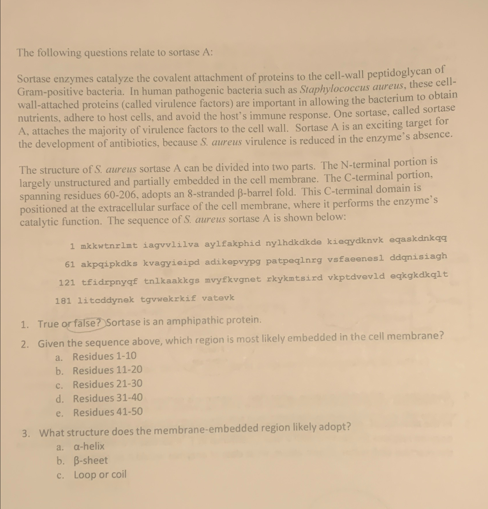 Solved The following questions relate to sortase A:Sortase | Chegg.com