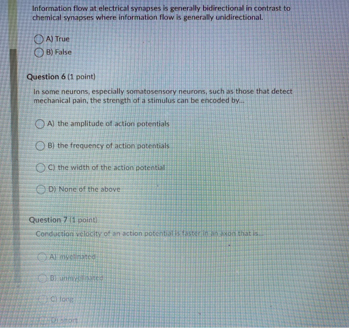 Solved Chemical synapses are most often formed between axon | Chegg.com