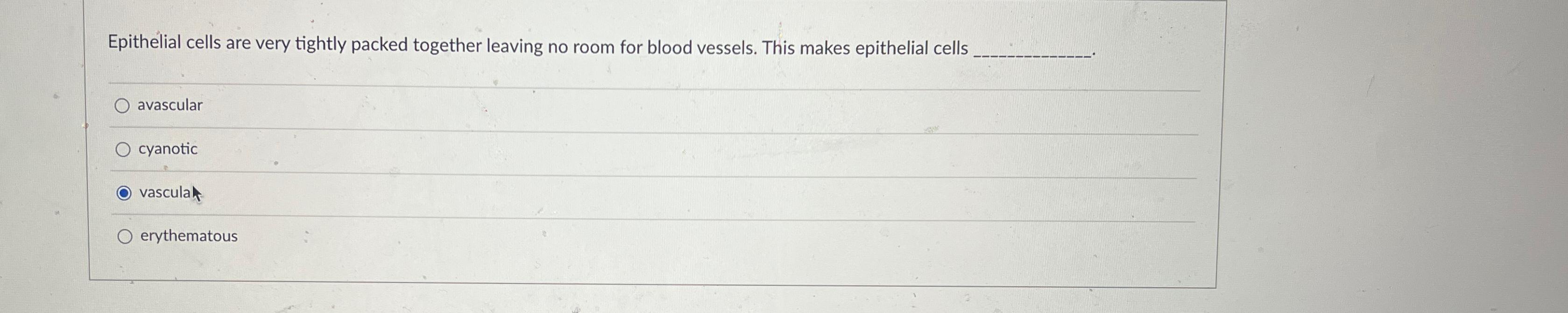 Solved Epithelial cells are very tightly packed together | Chegg.com
