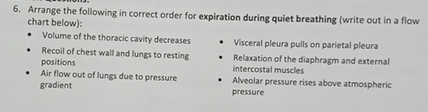 Solved Arrange the following in correct order for expiration | Chegg.com