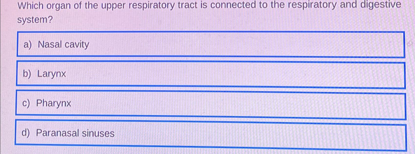 Solved Which organ of the upper respiratory tract is | Chegg.com