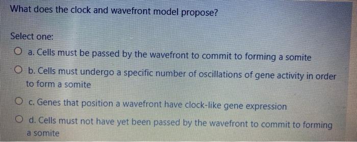 Solved What does the clock and wavefront model propose? | Chegg.com