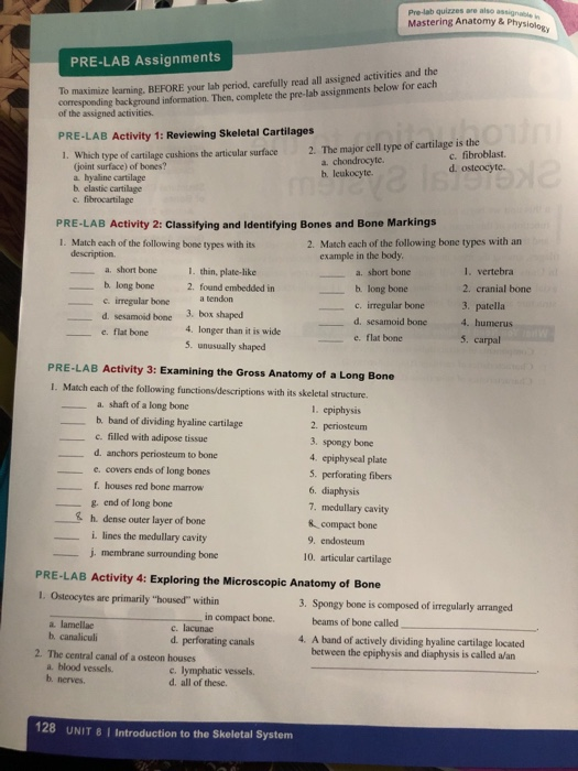 Solved Pre-lab quizzes are also assign Mastering Anatomy & | Chegg.com