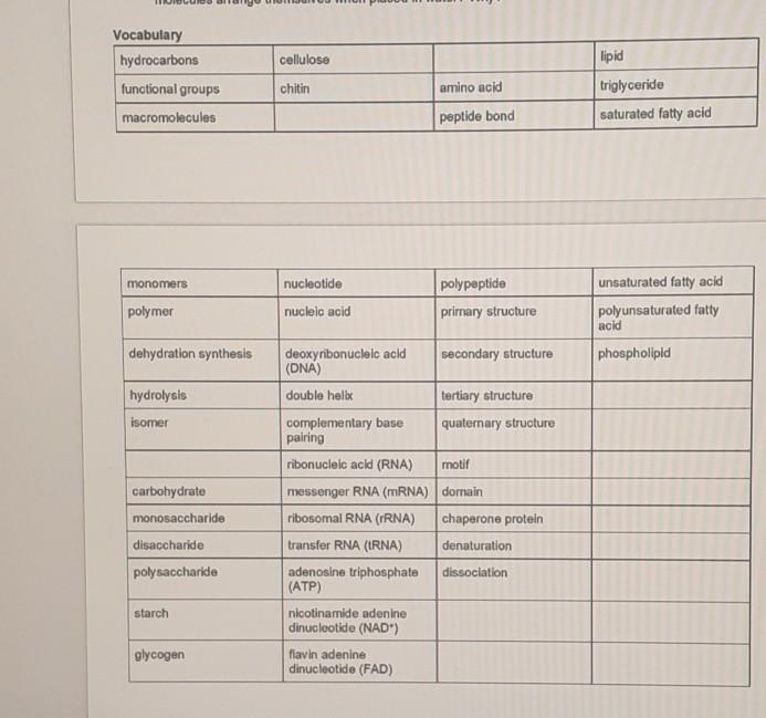 Solved CHAPTER 3 THE CHEMICAL BUILDING BLOCKS OF LIFE Study | Chegg.com