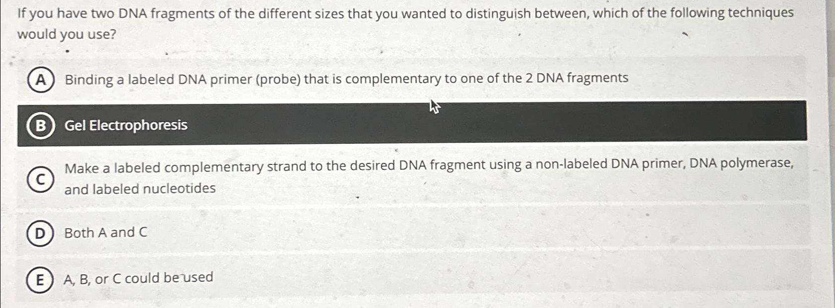 Solved If you have two DNA fragments of the different sizes | Chegg.com