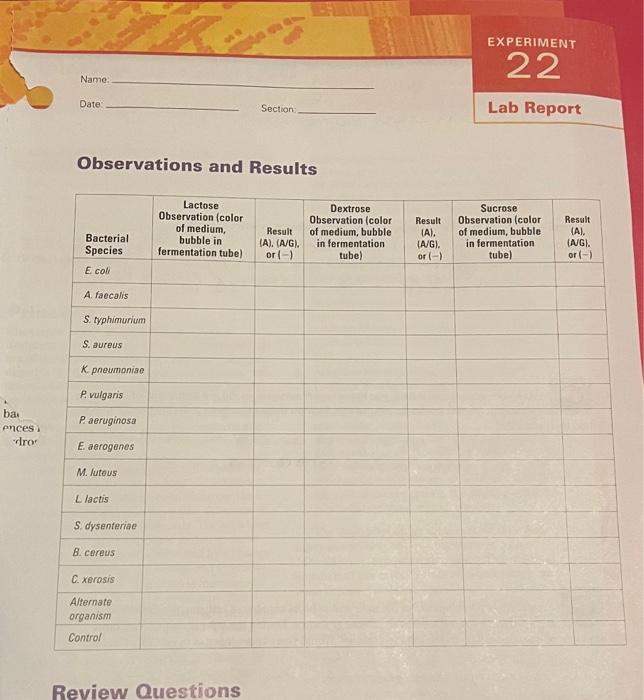 Solved EXPERIMENT 22 Name: Date Section Lab Report | Chegg.com