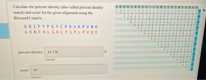 Solved v Calculate the percent identity (also called percent | Chegg.com