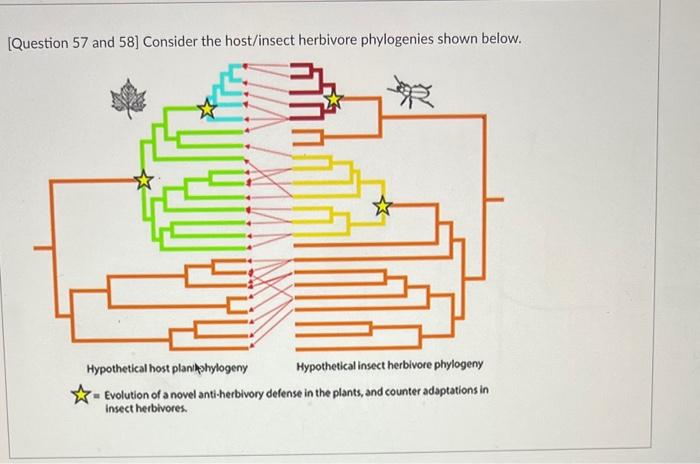 Solved [Question 57 and 58] Consider the host/insect | Chegg.com