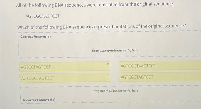 Solved All of the following DNA sequences were replicated | Chegg.com