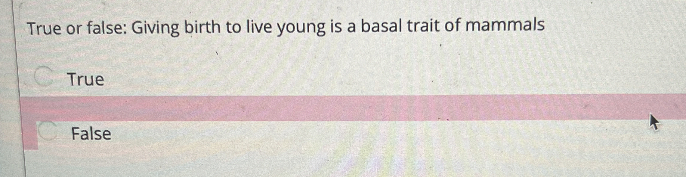 Solved True or false: Giving birth to live young is a basal | Chegg.com