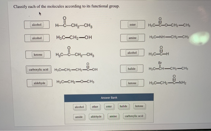 Solved Classify each of the molecules according to its | Chegg.com