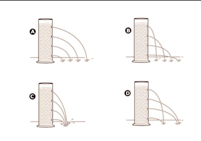 Solved I need help Which one is correct? i need help | Chegg.com