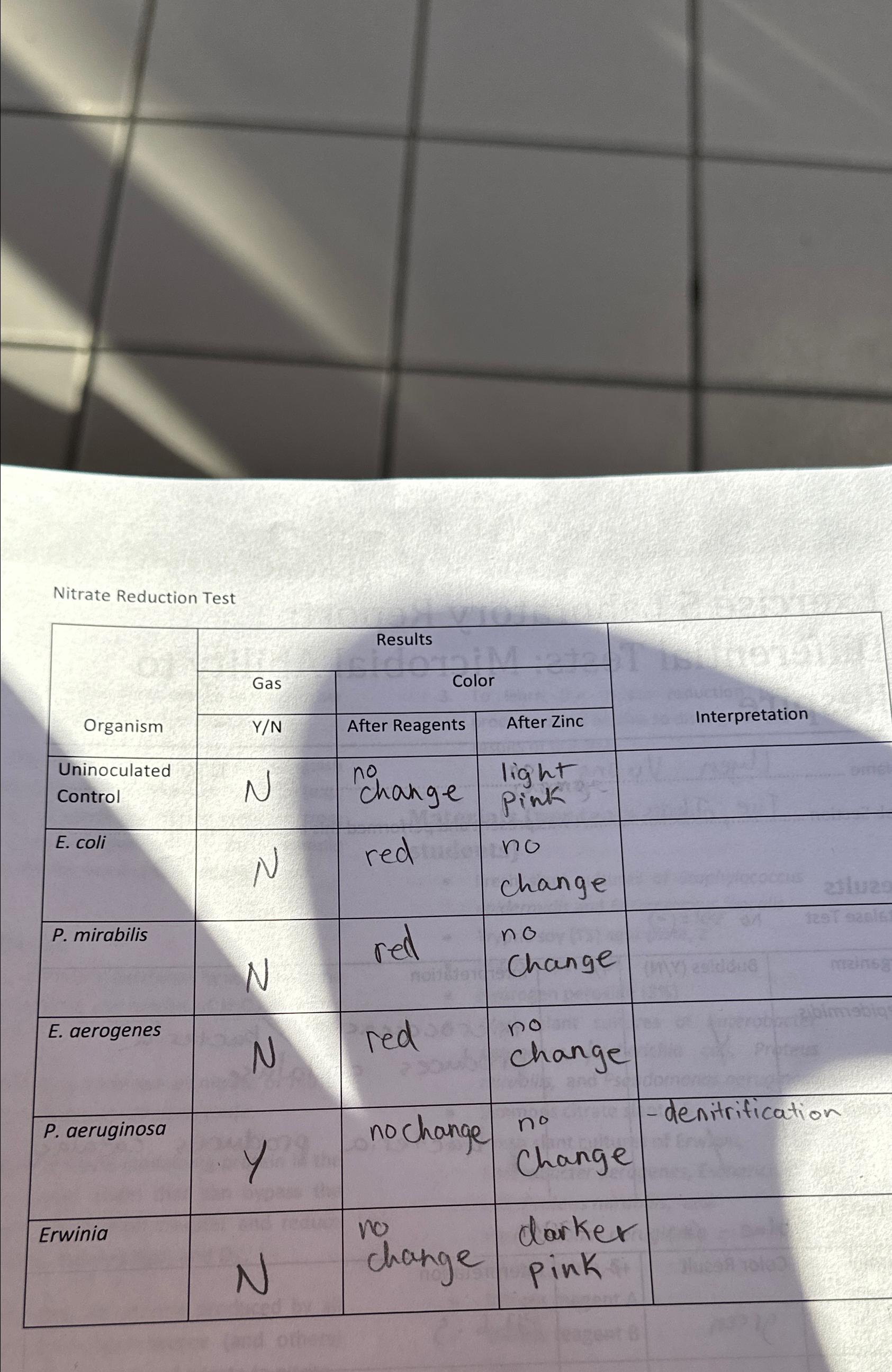 Solved Nitrate Reduction Test
