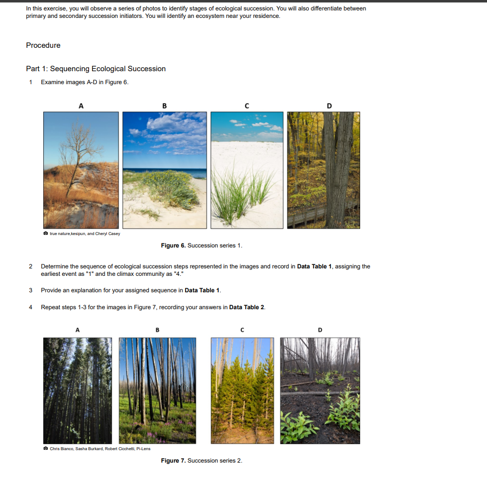 In this exercise, you will observe a series of photos | Chegg.com