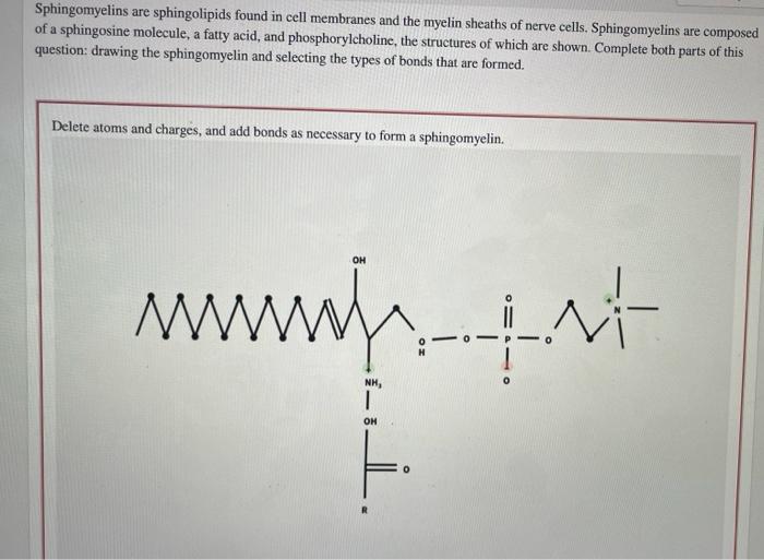 Solved The fused-ring steroid nucleus of cholesterol is | Chegg.com