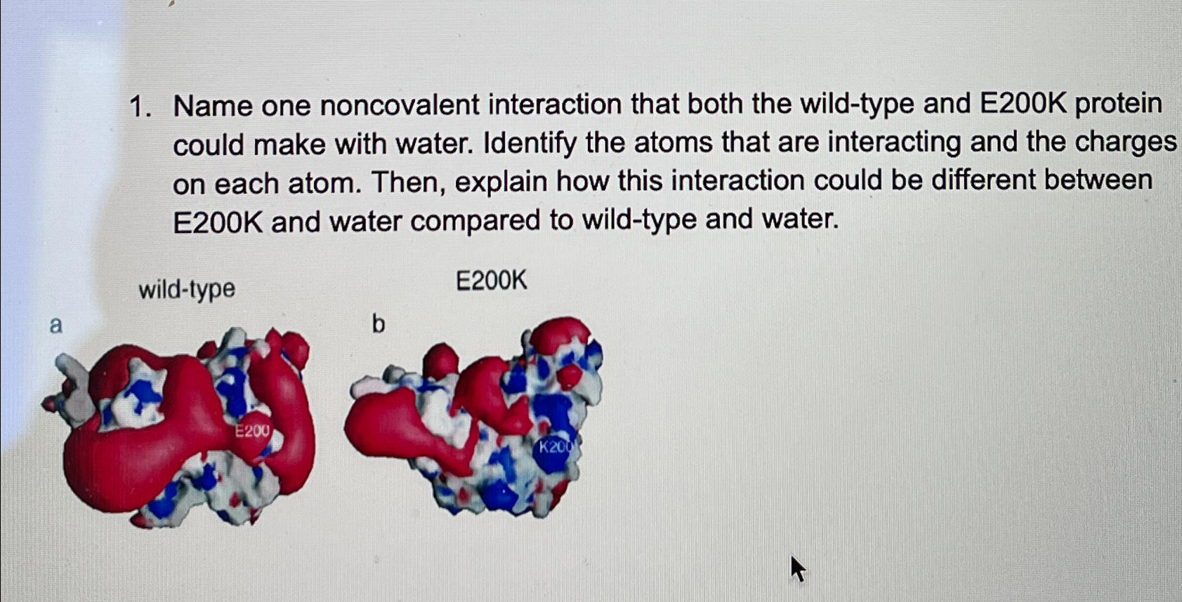 Solved Name one noncovalent interaction that both the | Chegg.com