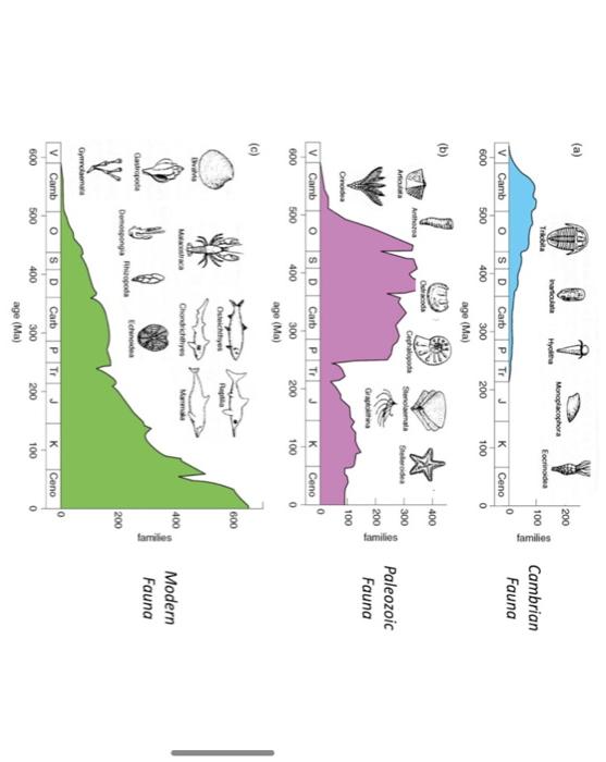 1. Which taxa members of the Paleozoic fauna in | Chegg.com