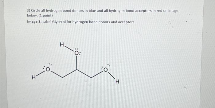 Solved 3) Circle all hydrogen bond donors in blue and all | Chegg.com