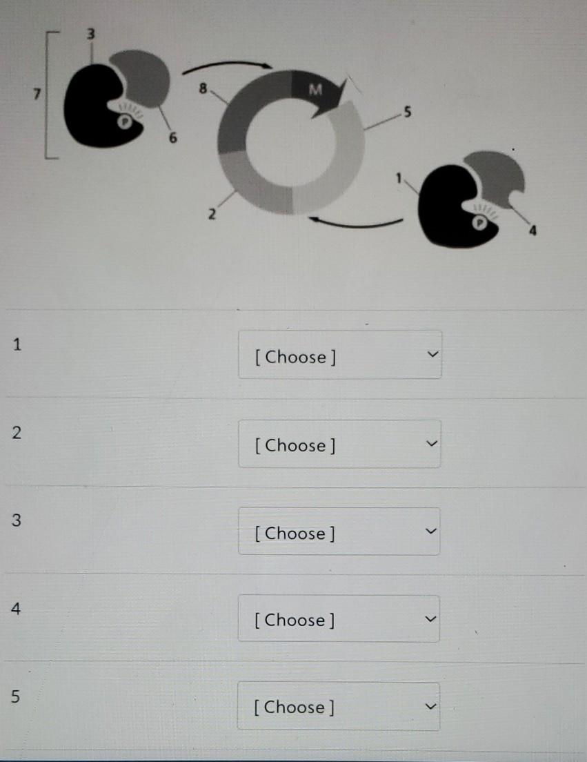 се 1 [Choose] 2 [Choose ] 3 [Choose ] 4 [Choose] 5 | Chegg.com