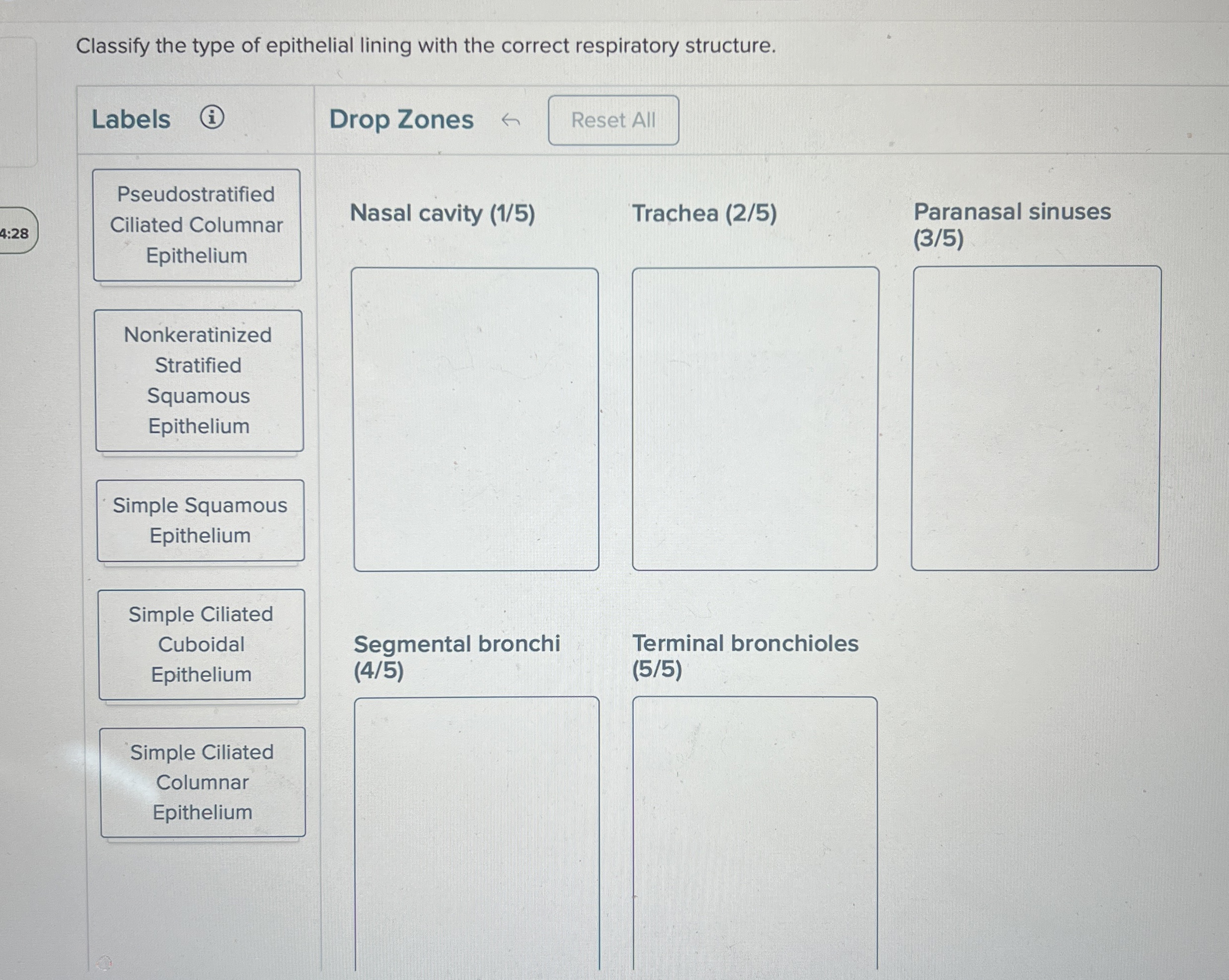 Solved Classify the type of epithelial lining with the | Chegg.com