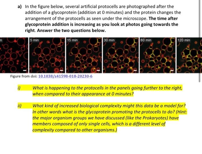 Solved a) In the figure below, several artificial protocells | Chegg.com