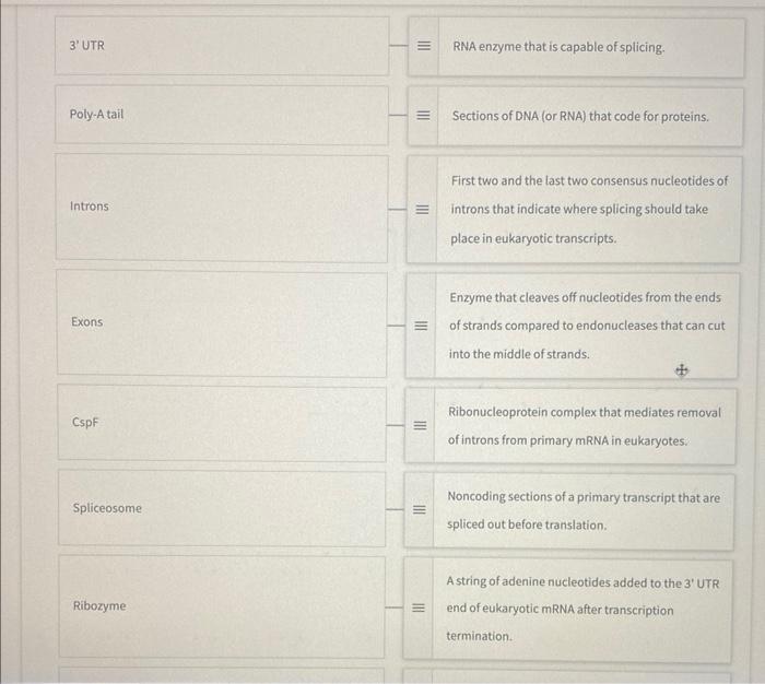 Solved Enzyme that cleaves off nucleotides from the ends of | Chegg.com