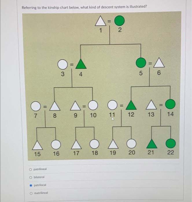 Solved Referring to the kinship chart below, what kind of | Chegg.com